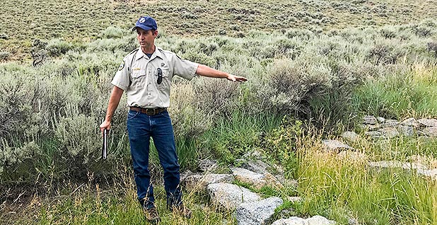 Historic Wagon Trails Destroyed to Protect Grouse in Colorado ...