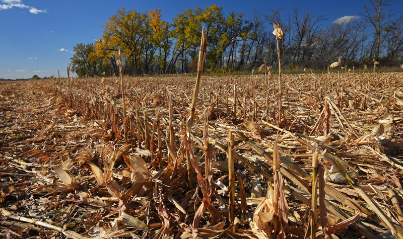 You could be leaving on a corn-fueled jet plane - Oklahoma Energy Today