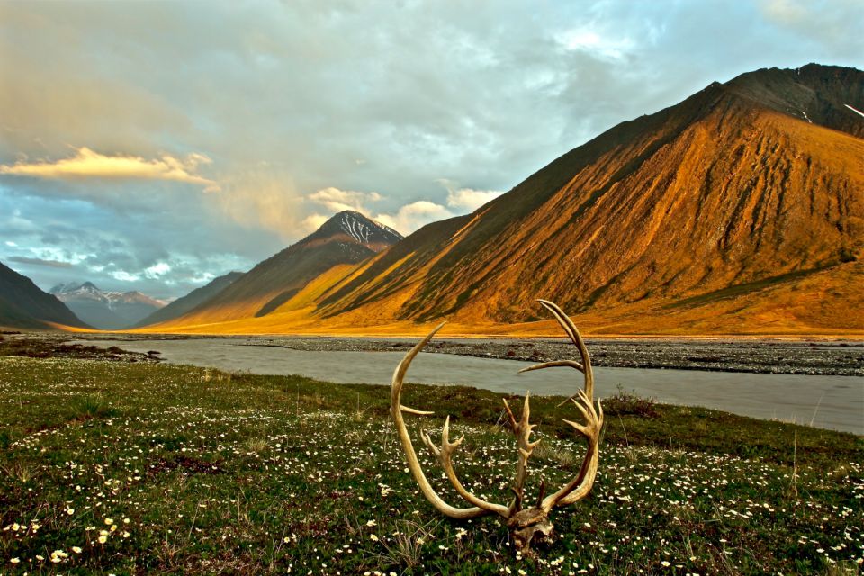 Little interest shown in ANWR oil drilling leases - Oklahoma Energy Today